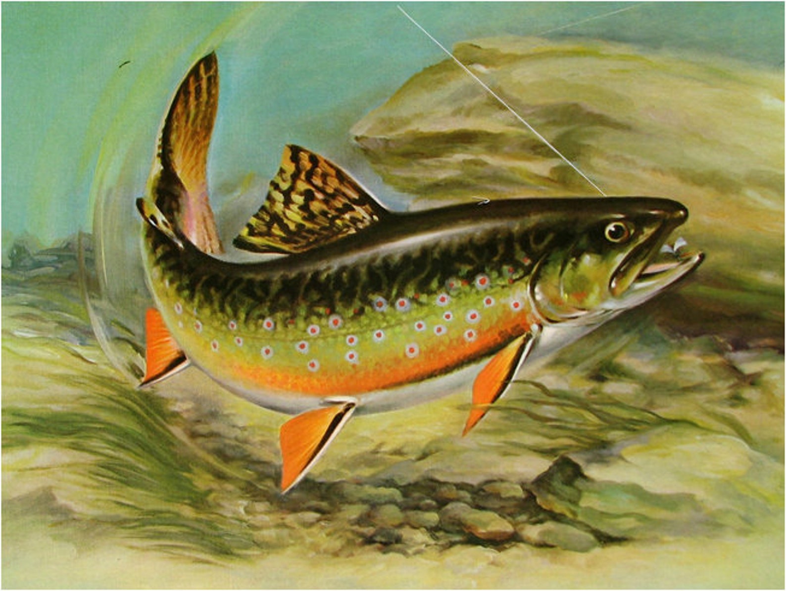 Cross Stitch Chart, Pattern, Trout, Hooked, Fighting, Rising, Rainbow ...