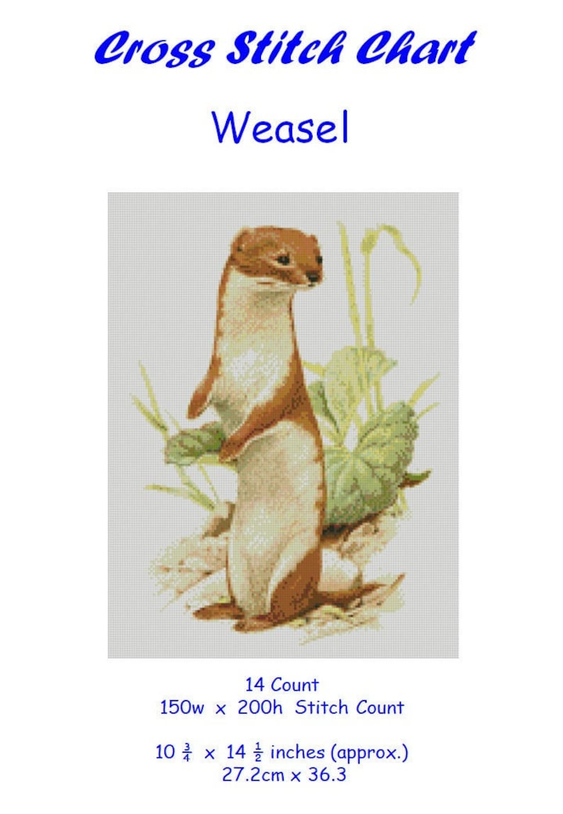 Cross Stitch Chart, Pattern, Weasel, Wildlife, Stoat, Polecat, Mink - Etsy