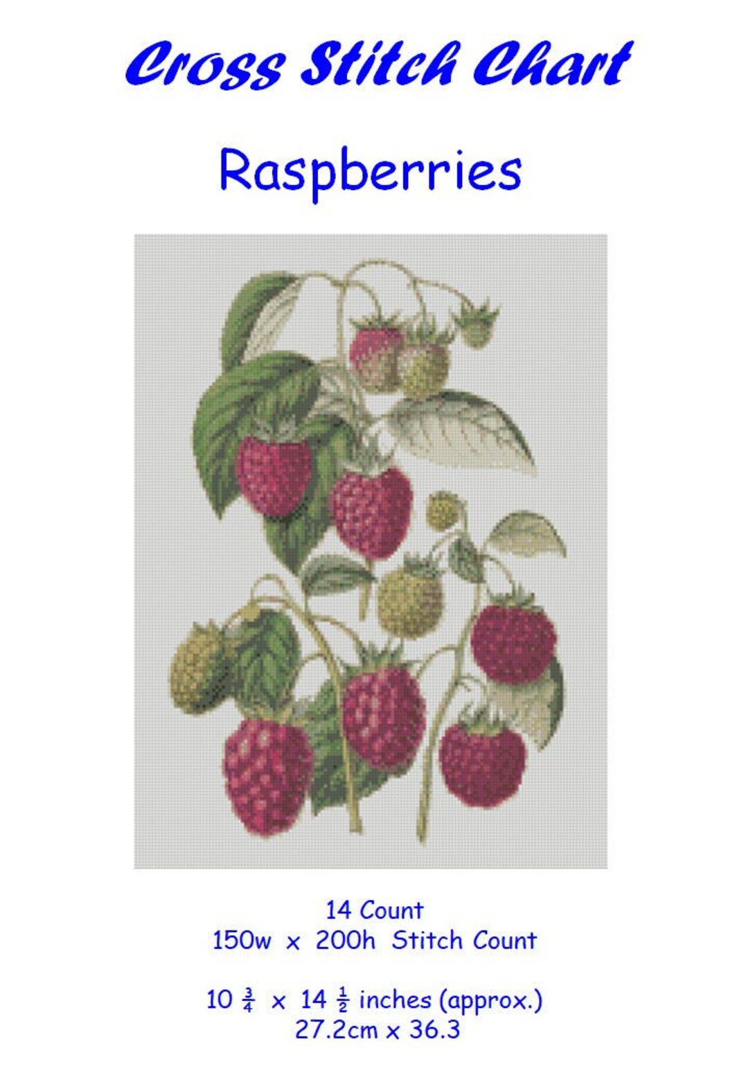 Cross Stitch Chart, Pattern, Raspberry Fruit, Summer, Raspberries - Etsy UK