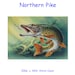 Cross Stitch Chart, Pattern, Pike, Musky, Northern, Fish, Fishing ...