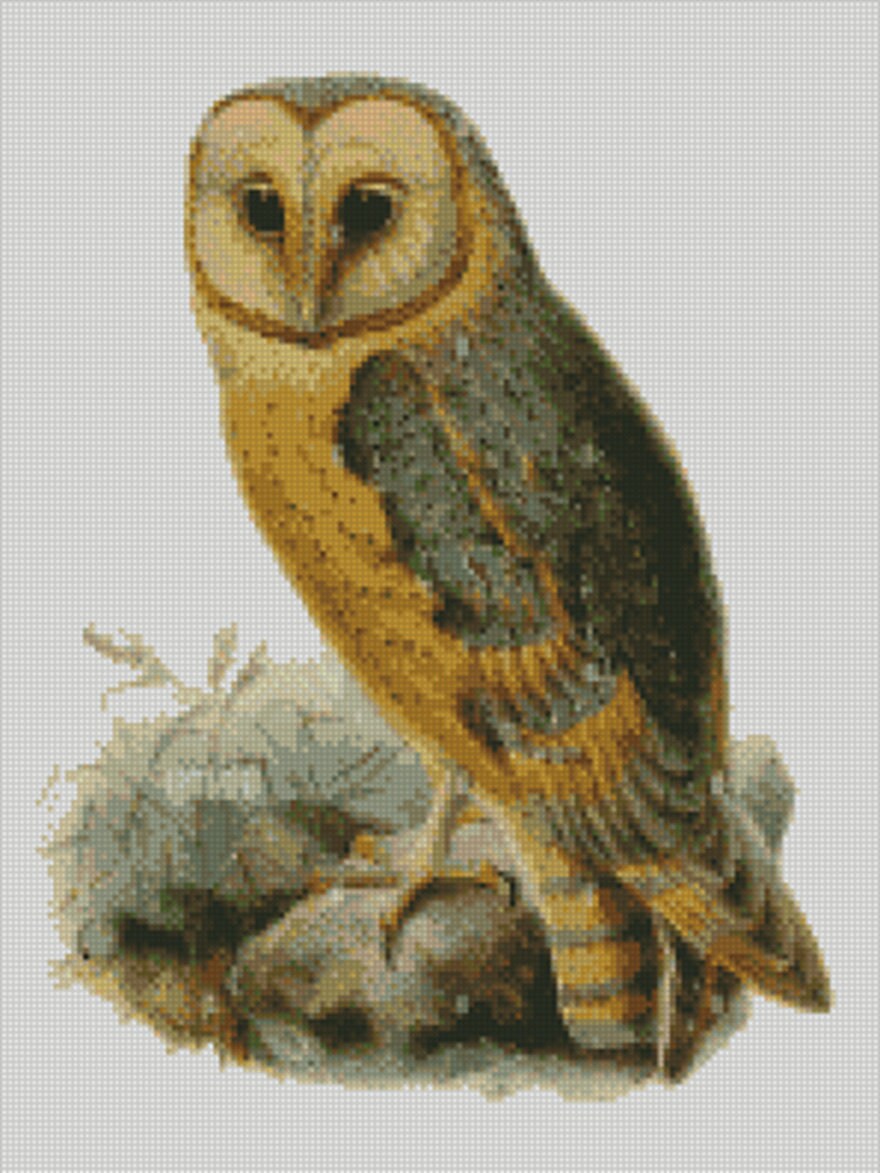 Cross Stitch Chart, Pattern, Barn, Owl, Bird, Night, Prey, Woodland ...