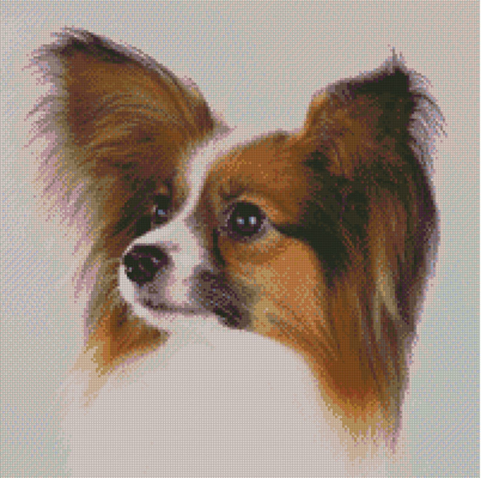 Cross Stitch Chart, Pattern, Papillon, Dog, Canine, KC - Etsy