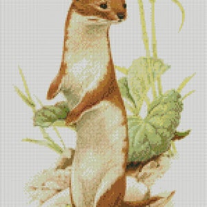 Cross Stitch Chart, Pattern, Weasel, Wildlife, Stoat, Polecat, Mink - Etsy