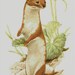Cross Stitch Chart, Pattern, Weasel, Wildlife, Stoat, Polecat, Mink - Etsy