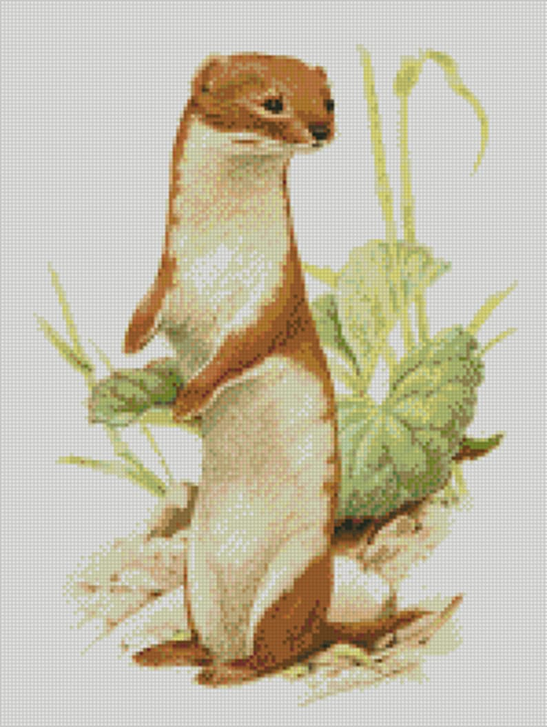 Cross Stitch Chart, Pattern, Weasel, Wildlife, Stoat, Polecat, Mink - Etsy