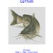 Cross Stitch Chart, Pattern, Catfish, Fish, Fishing, Coarse, River - Etsy