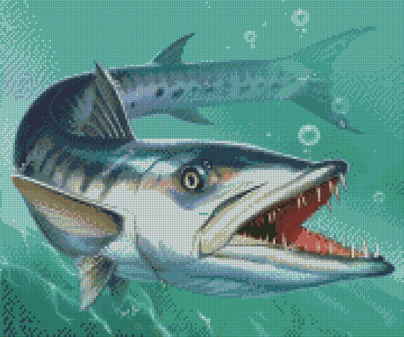 Cross Stitch Chart, Pattern, Barracuda, Fish, Fishing, Predator - Etsy