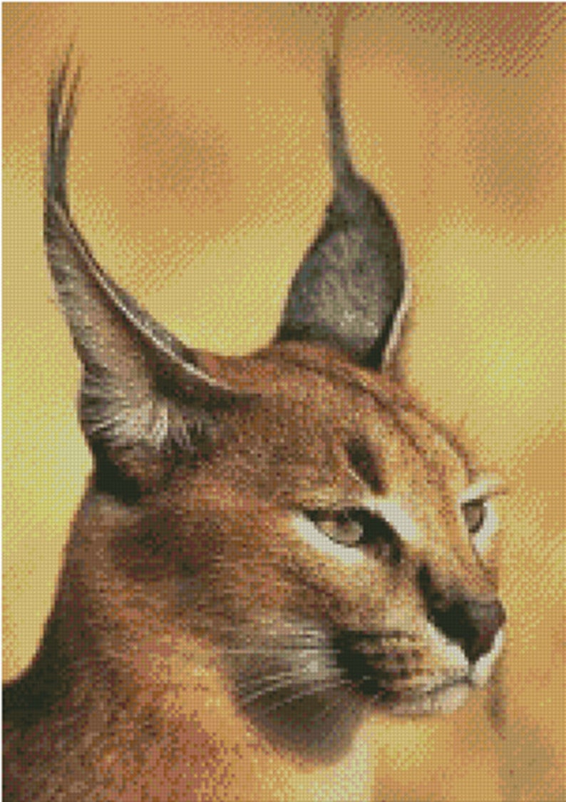 Cross Stitch Chart Pattern Caracal Cat Wild Big Breed - Etsy