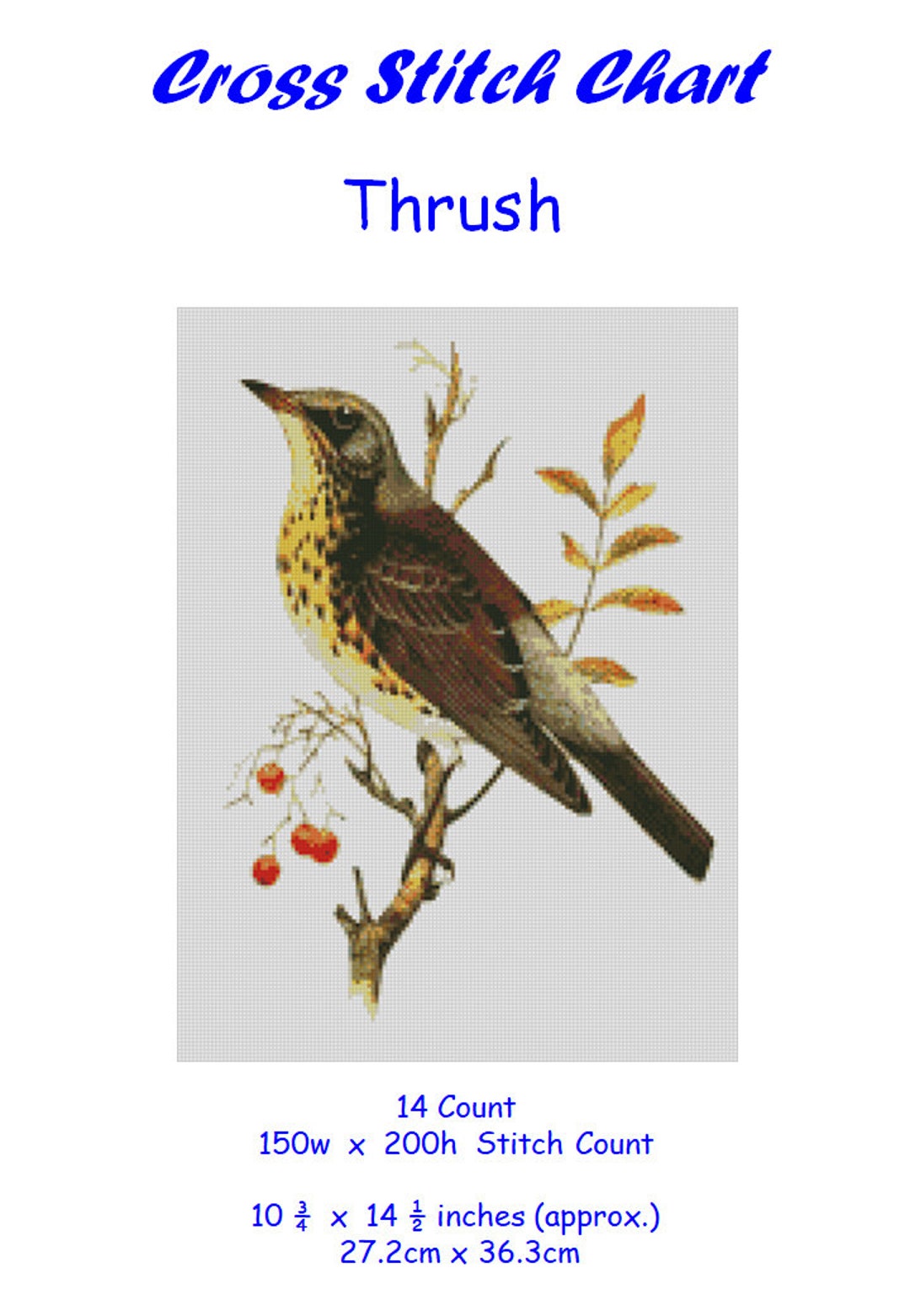 Cross Stitch Chart, Pattern, Thrush, Song, Bird, Wild, Garden - Etsy