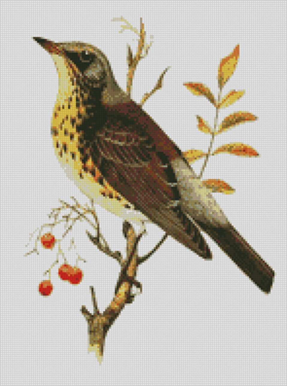 Cross Stitch Chart, Pattern, Thrush, Song, Bird, Wild, Garden - Etsy