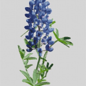 Cross Stitch Chart, Pattern, Texas, Flower, Blue Bonnet, State, Bloom ...