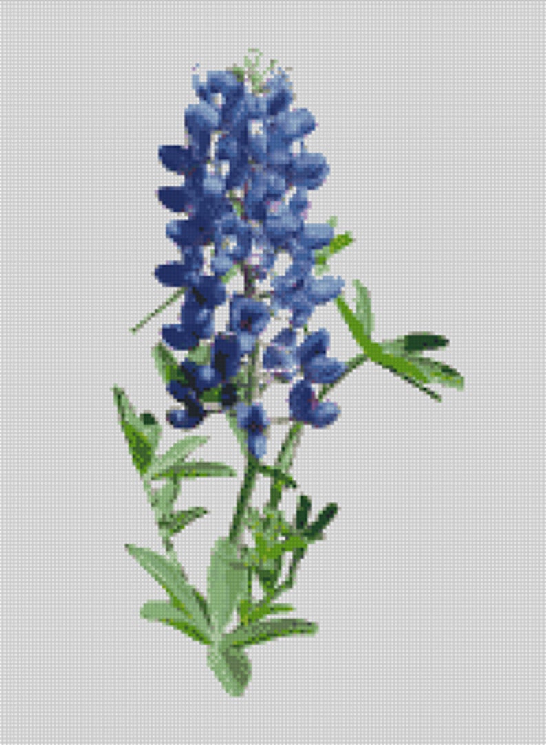 Cross Stitch Chart, Pattern, Texas, Flower, Blue Bonnet, State, Bloom ...