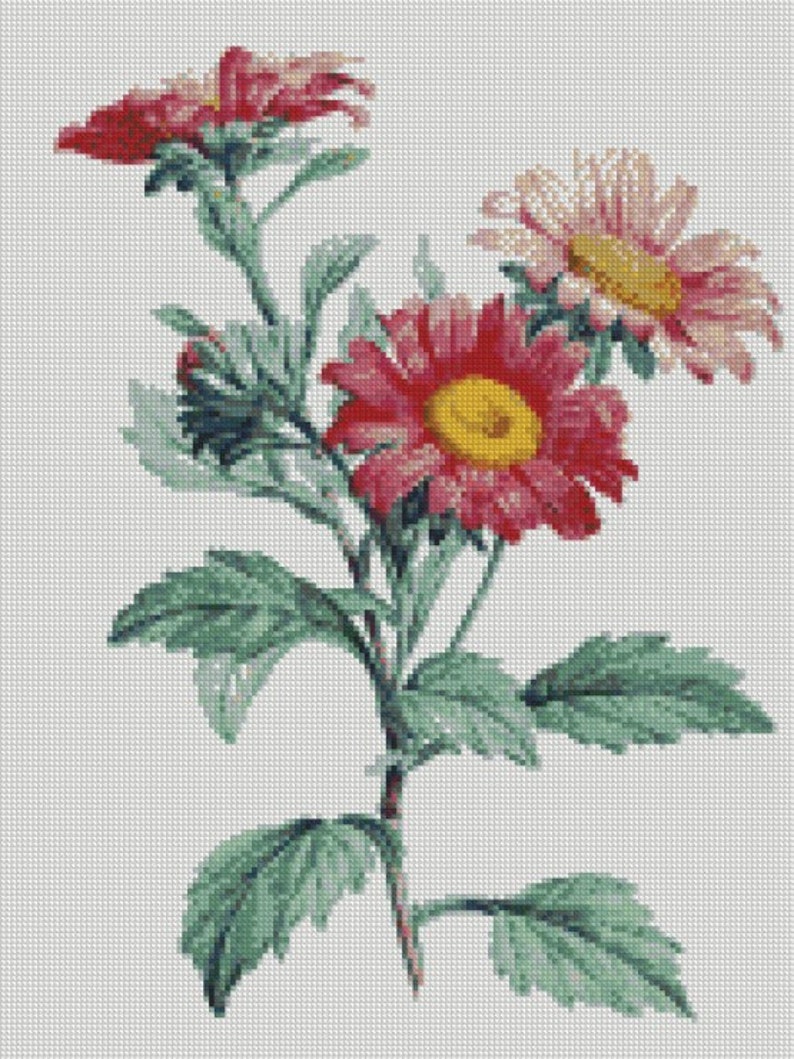 Cross Stitch Chart, Pattern, Asters, Garden, Plant, Flower, Bloom - Etsy