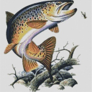 Cross Stitch Chart, Pattern, Trout, Rising, Fly, Rainbow, Brown, Fish ...