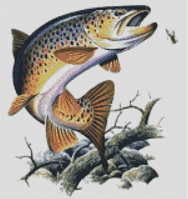 Cross Stitch Chart, Pattern, Trout, Rising, Fly, Rainbow, Brown, Fish ...