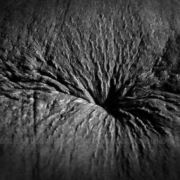 Body Photography - Etsy