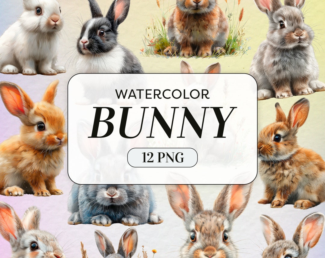 Watercolor Bunny Clipart - Cute Bunny Rabbit PNG - Commercial Use ...