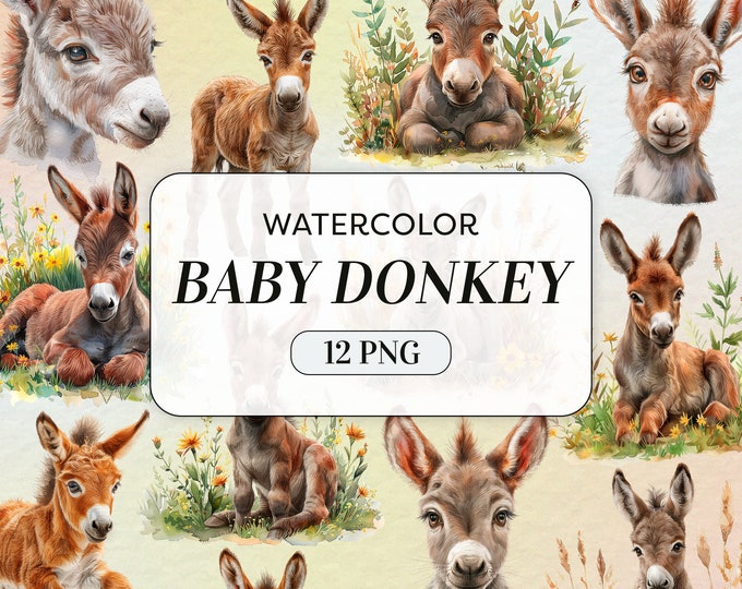 Baby Donkey PNG | Baby Animals | Farm Animals PNG | Cute Donkey ...