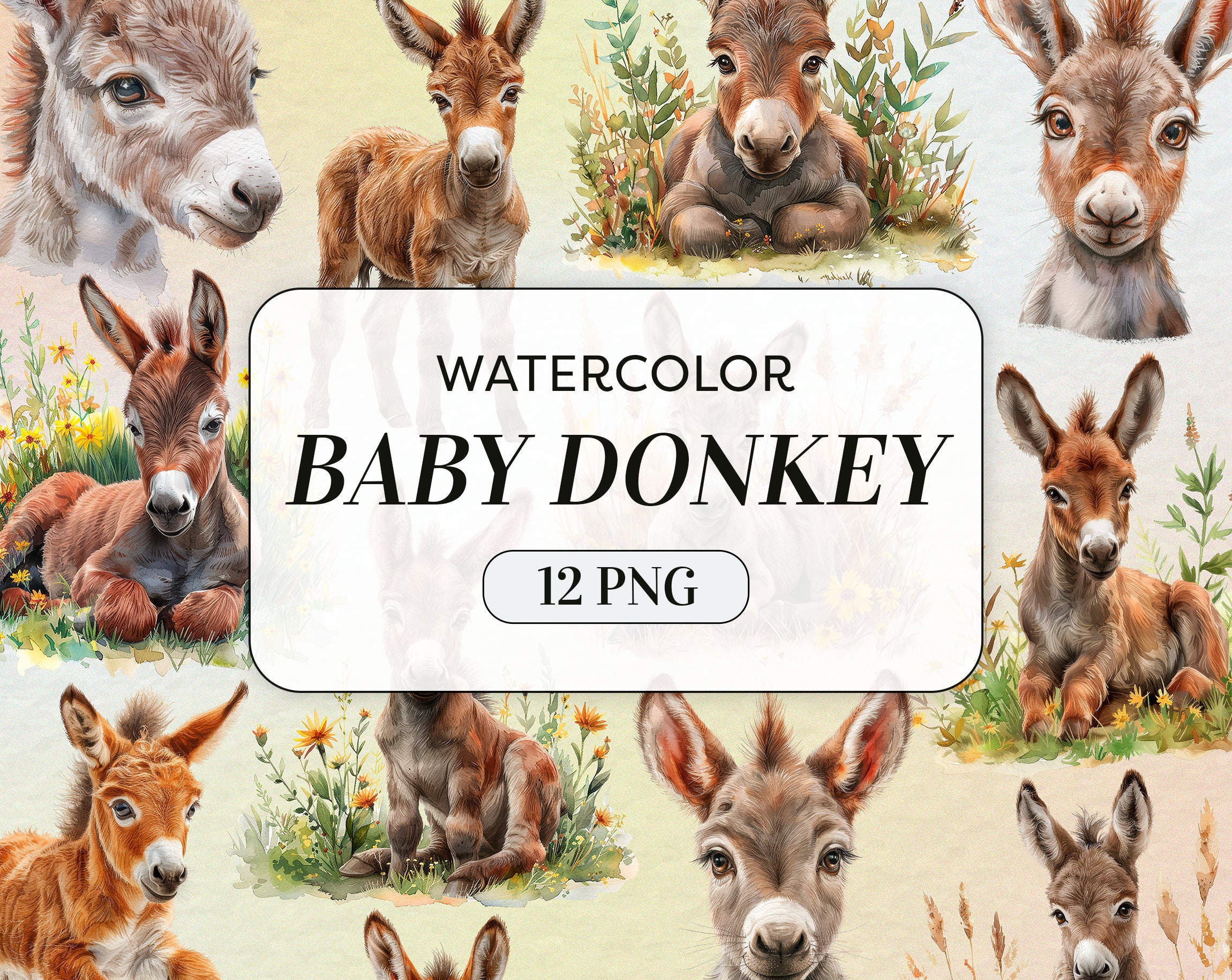 Watercolor Baby Donkey Clipart - Cute Donkey PNG - Commercial Use ...