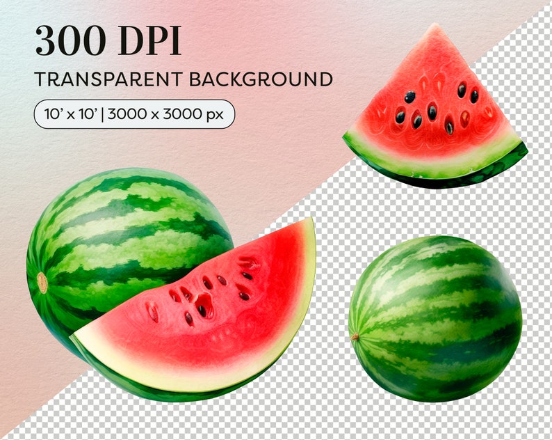 Watercolor Watermelon Clipart Watercolor Fruits PNG Commercial Use ...