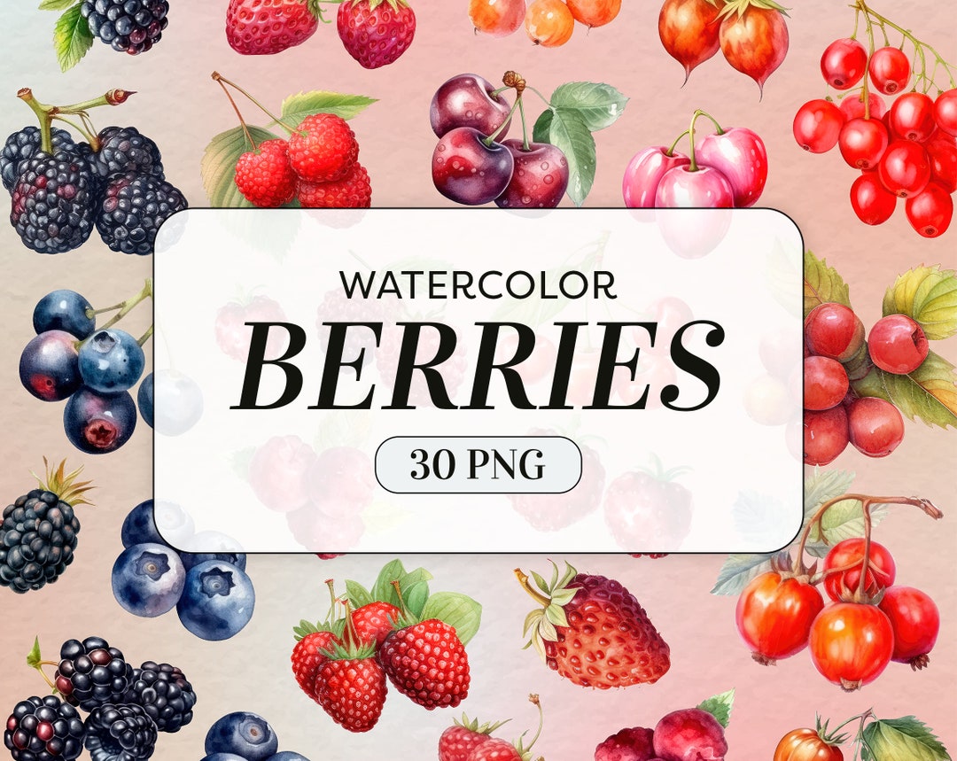 Watercolor Berries Clipart - Watercolor Berry PNG - Commercial Use ...
