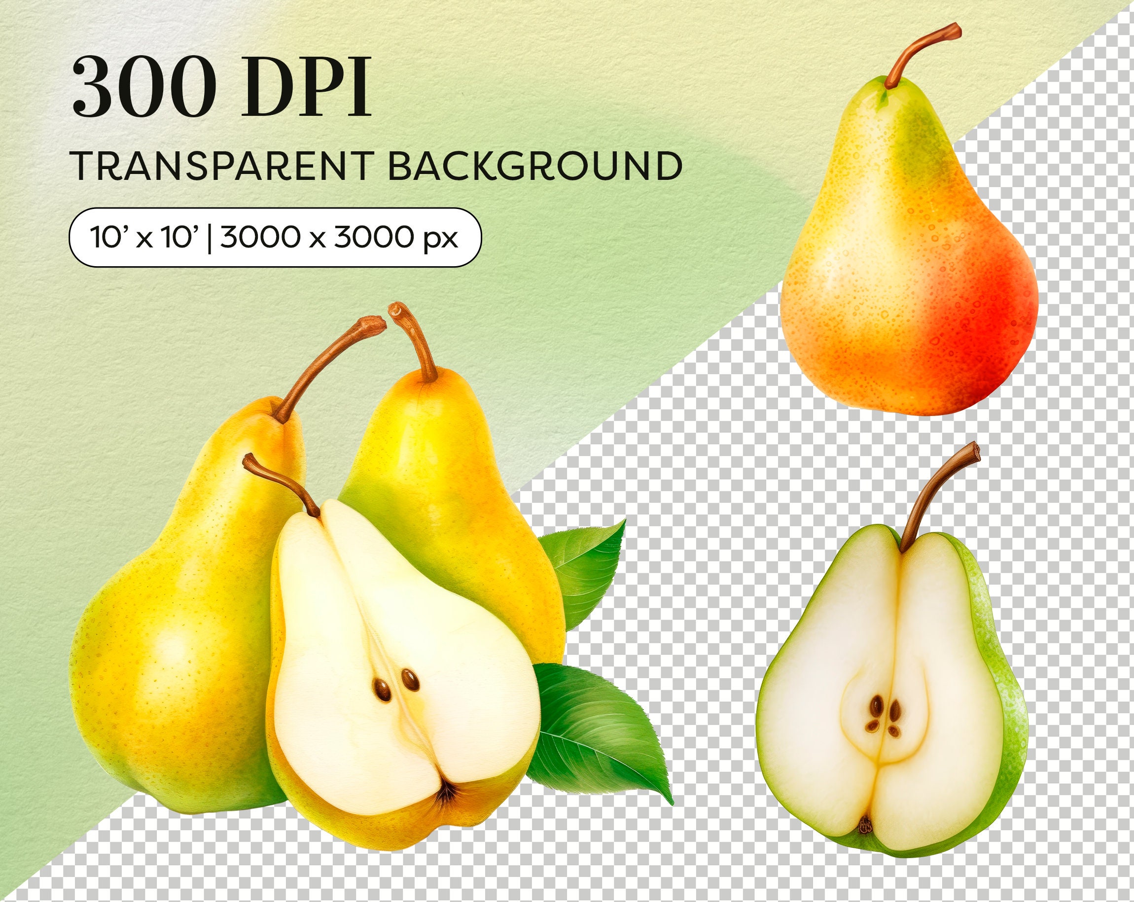 Watercolor Pear Clipart - Watercolor Fruits PNG - Commercial Use ...
