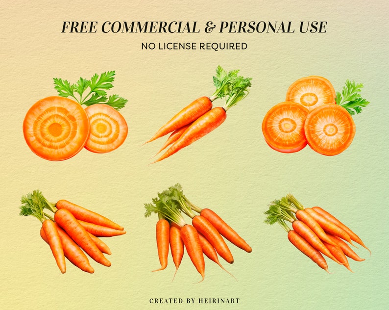 Watercolor Carrot Clipart - Watercolor Vegetables PNG - Commercial Use ...