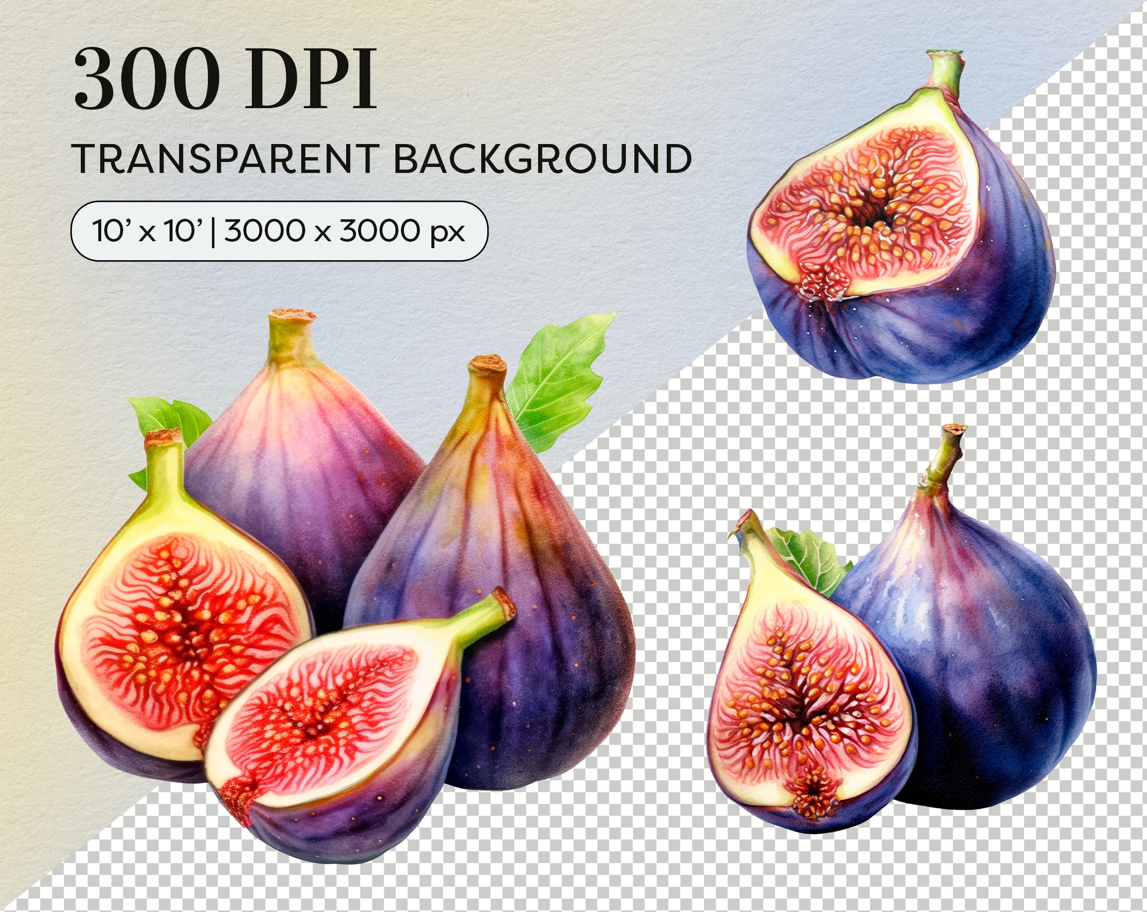 Watercolor Fig Clipart - Watercolor Fruits PNG - Commercial Use - Figs ...