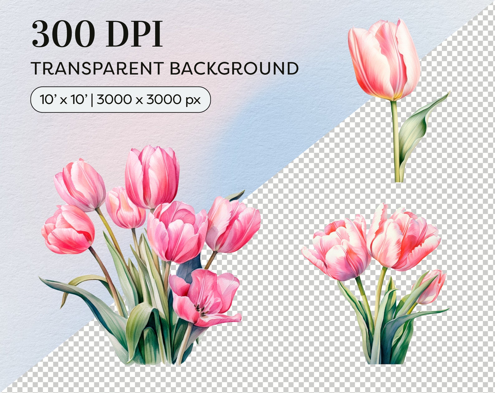 Watercolor Pink Tulip Clipart - Watercolor Flowers - Commercial Use ...