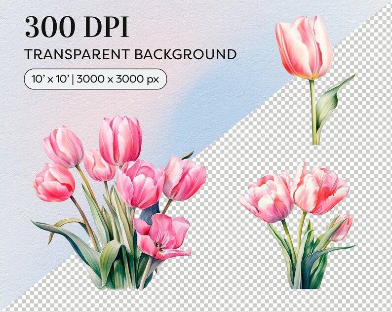 Watercolor Pink Tulip Clipart - Watercolor Flowers - Commercial Use ...