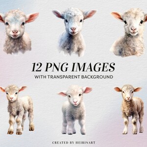 Watercolor Baby Lamb Clipart - Cute Lamb PNG - Commercial Use - Baby ...