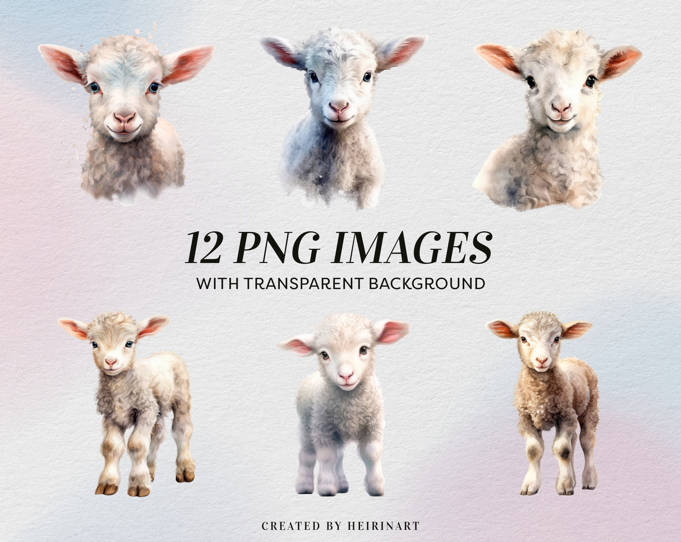 Watercolor Baby Lamb Clipart - Cute Lamb PNG - Commercial Use - Baby ...