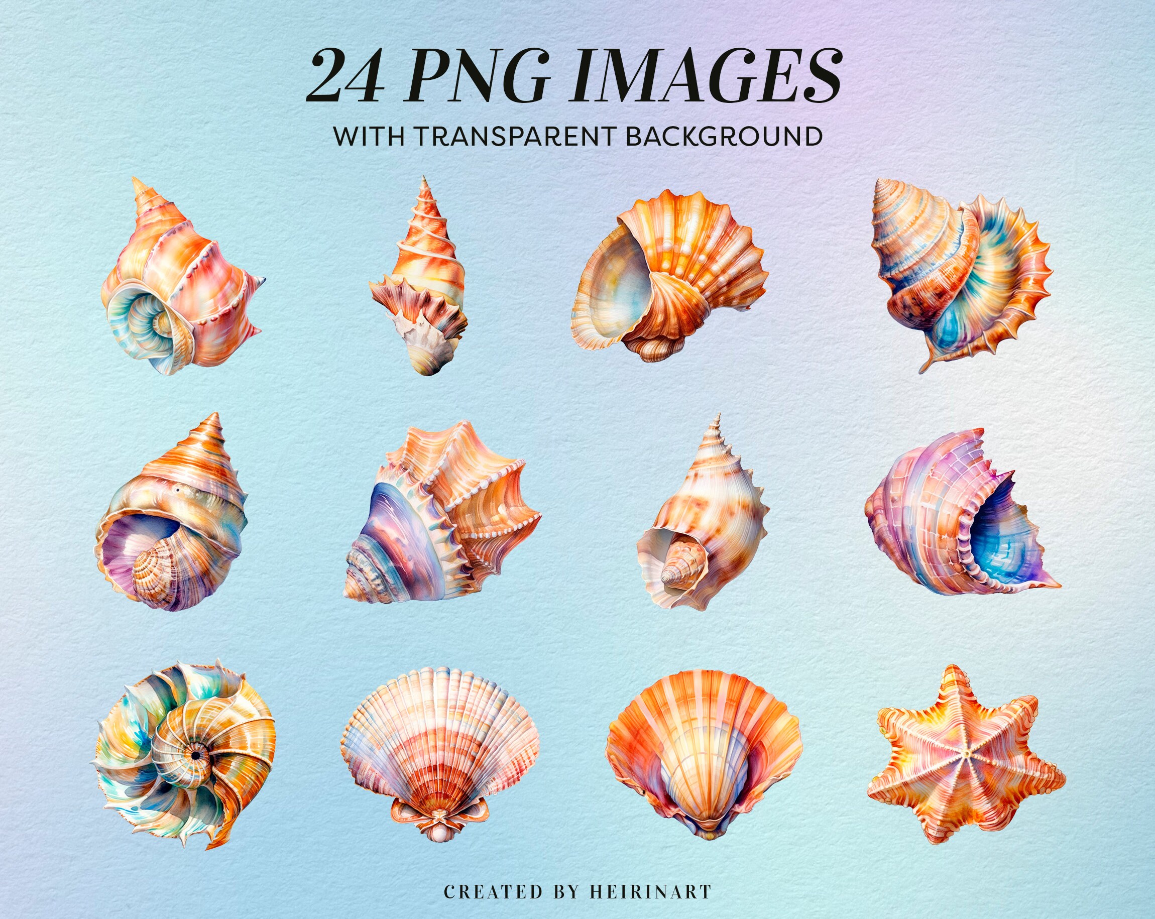 Watercolor Seashell Clipart - Seashell PNG - Commercial Use - Summer ...