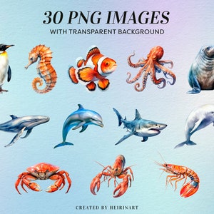 Aquatic Animals Clipart - Watercolor Sea Animals PNG - Commercial Use ...