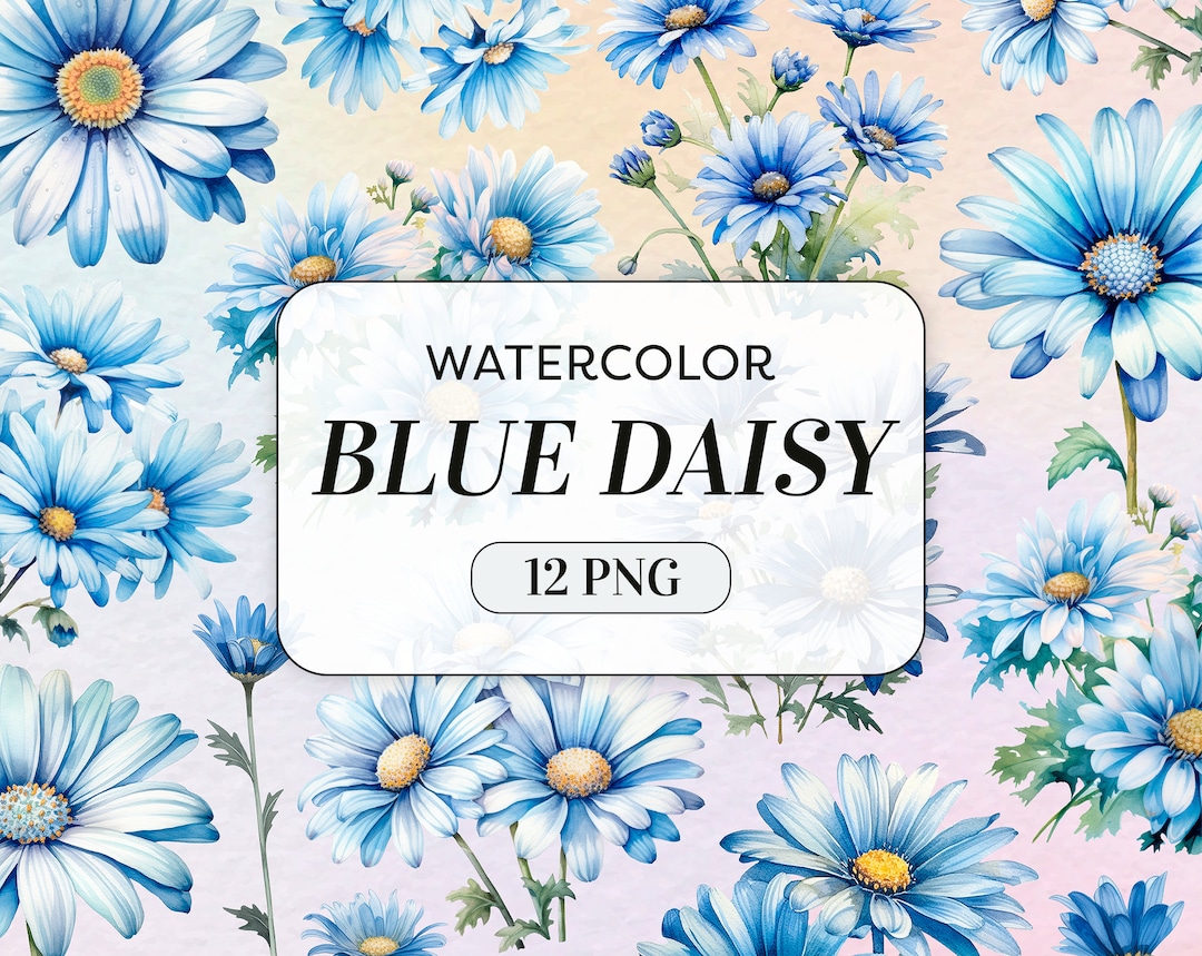 Watercolor Blue Daisy Clipart - Watercolor Flowers PNG - Commercial Use ...