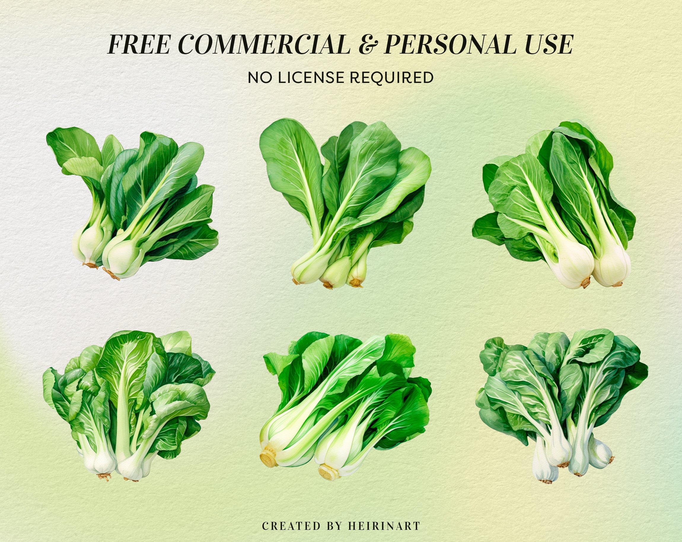 Watercolor Bok Choy Clipart - Watercolor Vegetables PNG - Commercial ...