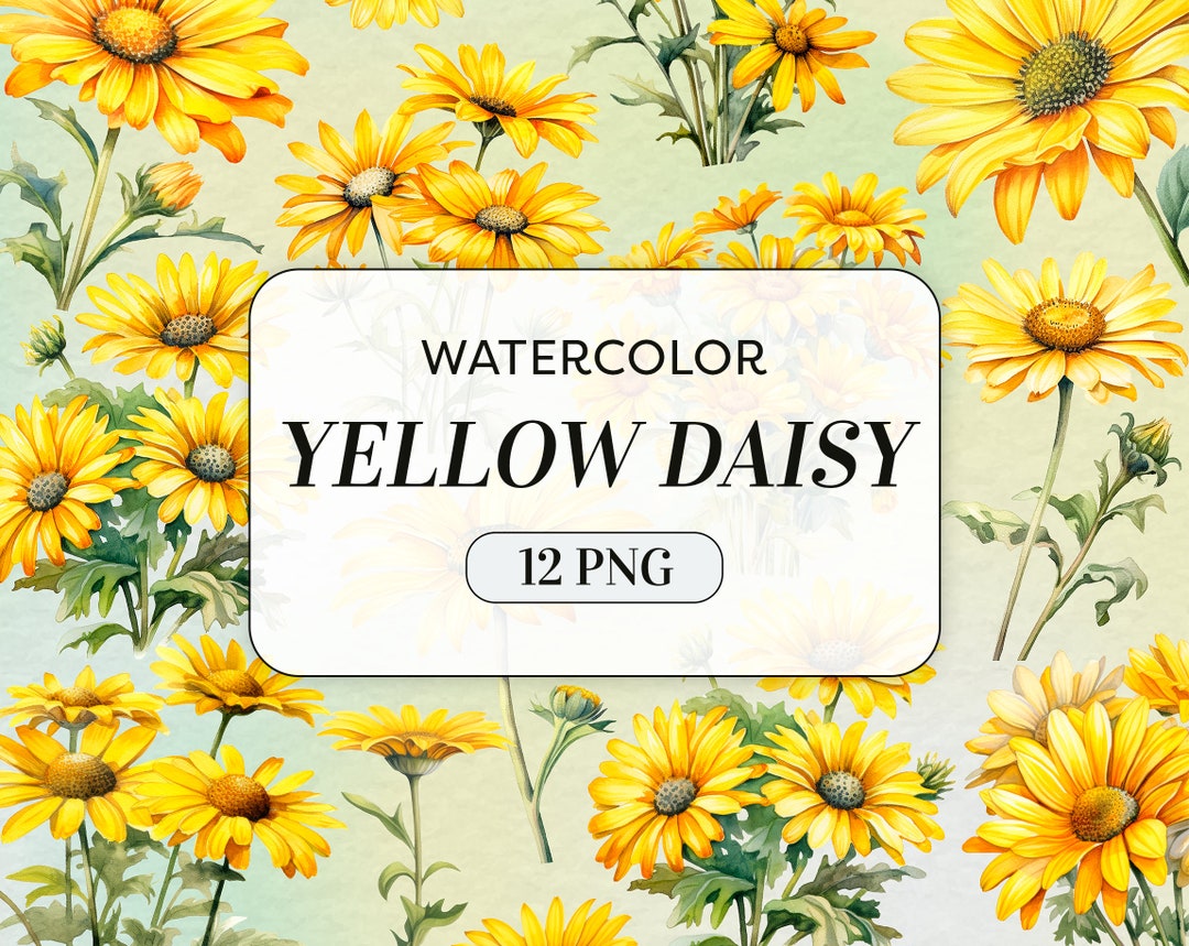 Watercolor Yellow Daisy Clipart - Watercolor Flowers PNG - Commercial ...