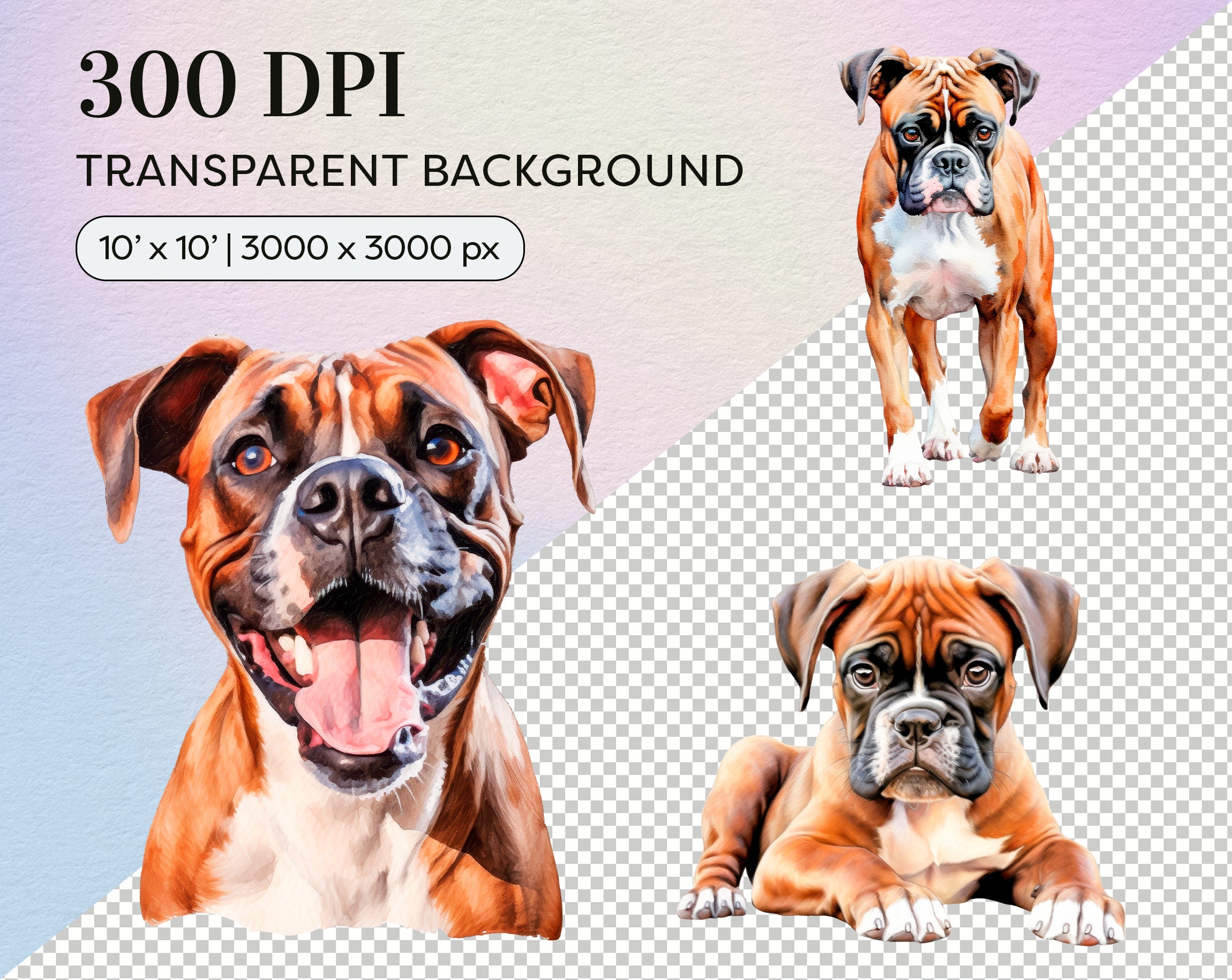 Watercolor Boxer Clipart - Boxer Dog PNG - Commercial Use - Cute Dog ...