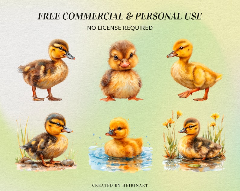 Watercolor Baby Duck Clipart - Cute Duck PNG - Commercial Use - Baby ...