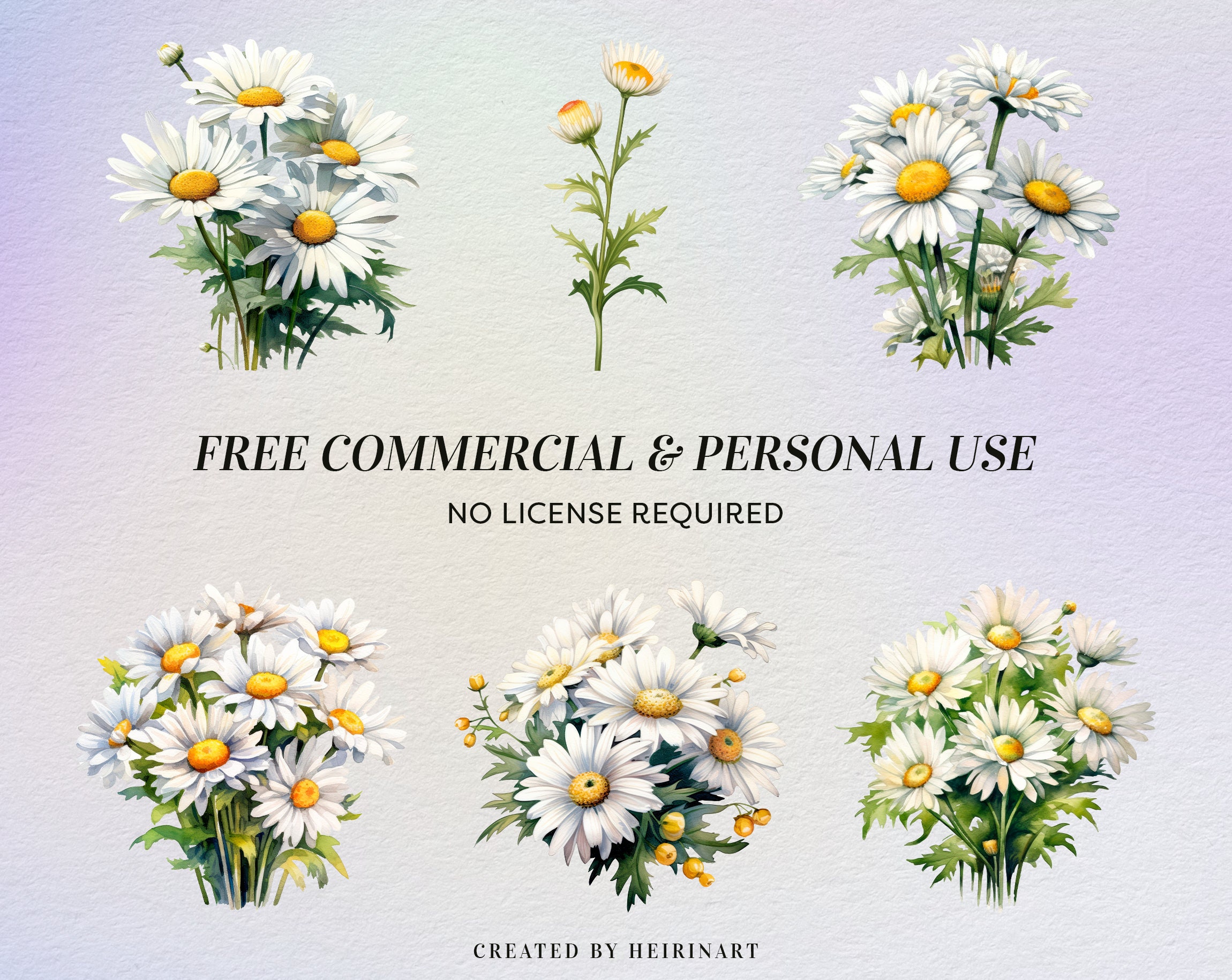 Watercolor Daisy Flower Clipart - Watercolor Flowers PNG - Commercial ...