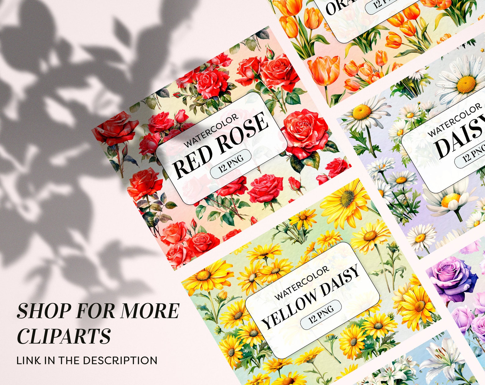 Watercolor Pink Daisy Clipart - Watercolor Flowers PNG - Commercial Use ...