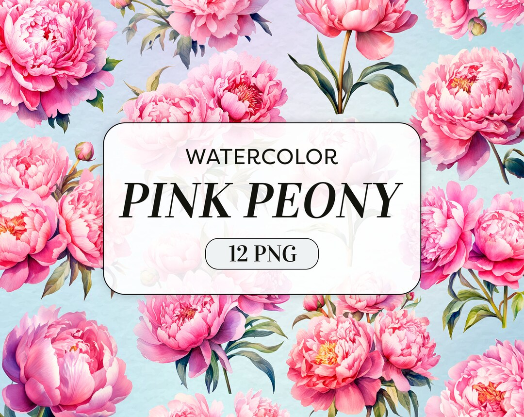 Watercolor Pink Peony Clipart - Watercolor Flowers - Peony Flower ...