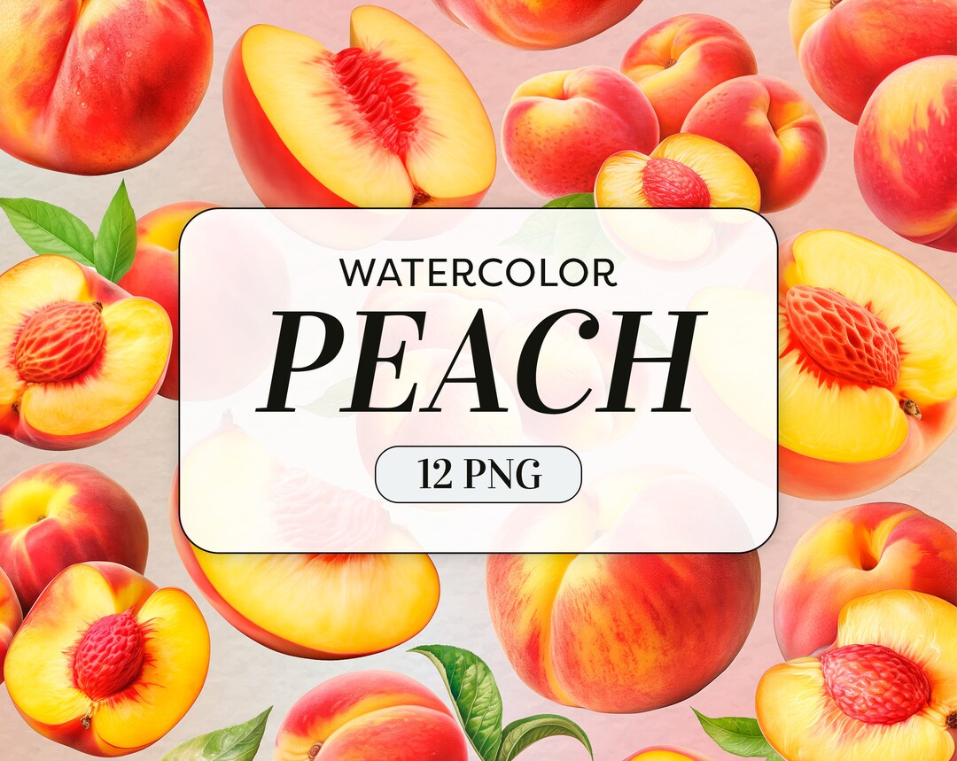 Watercolor Peach Clipart - Watercolor Fruits PNG - Commercial Use ...