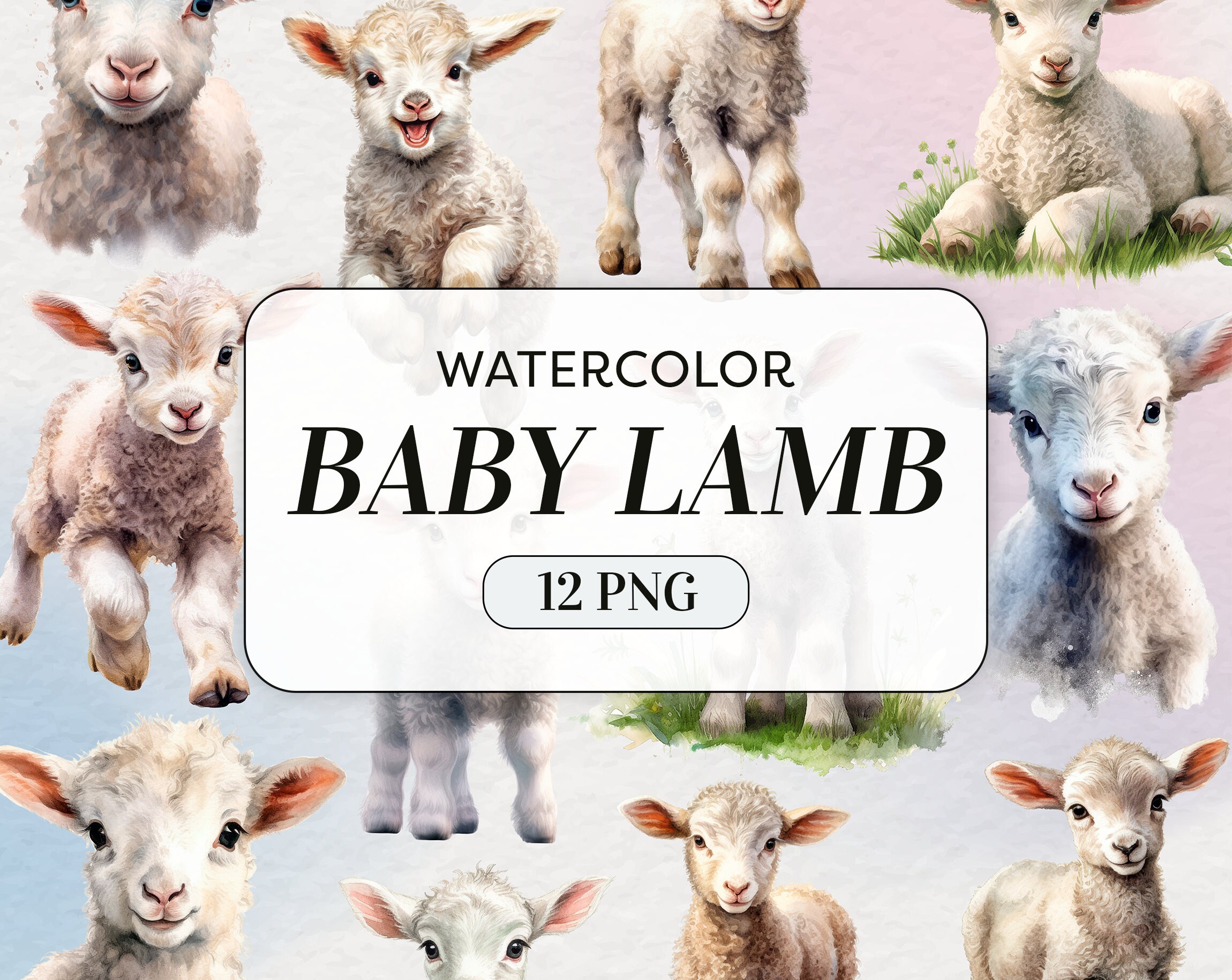 Watercolor Baby Lamb Clipart - Cute Lamb PNG - Commercial Use - Baby ...