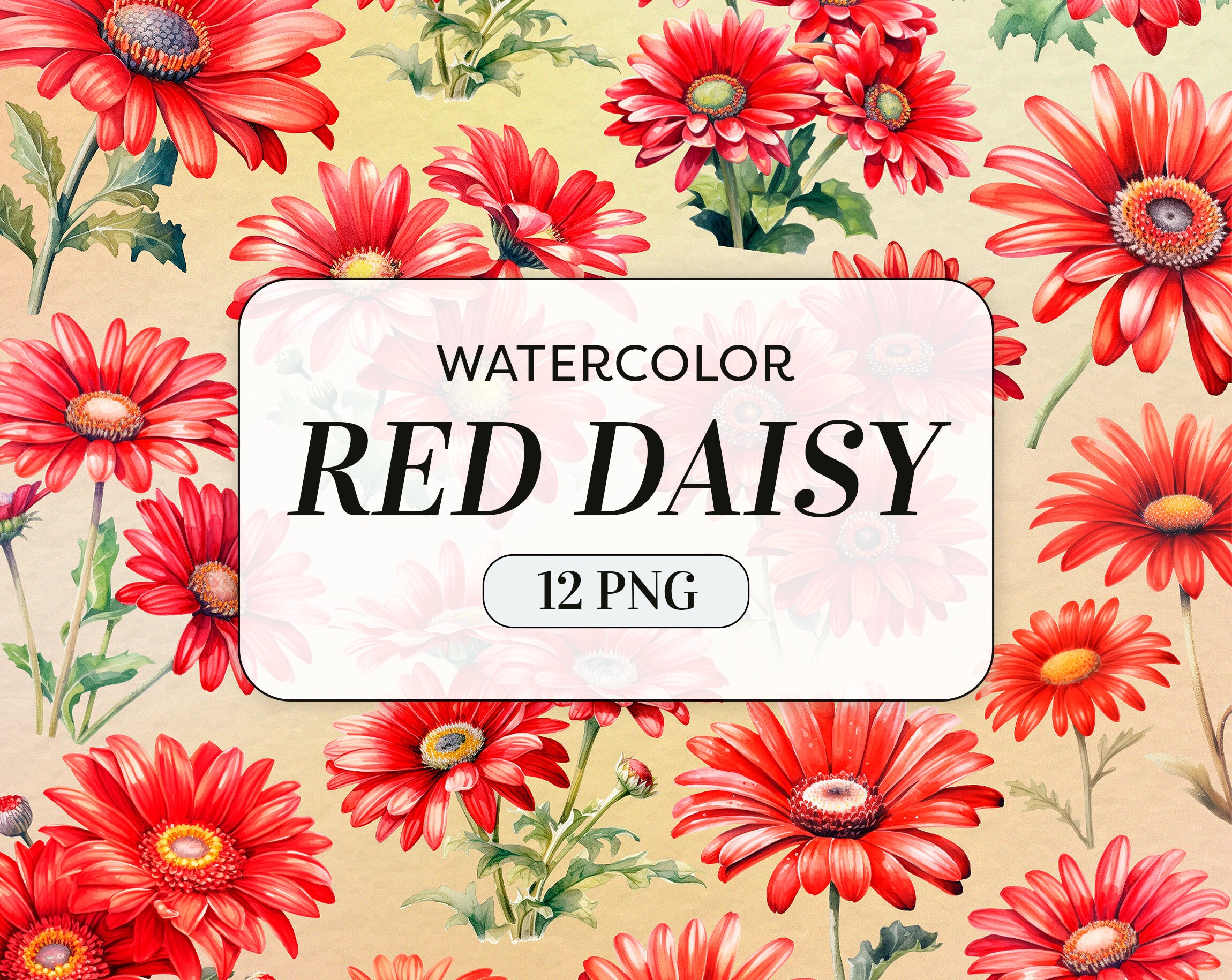 Watercolor Red Daisy Clipart - Watercolor Flowers PNG - Commercial Use ...