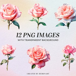 Watercolor Pink Rose Clipart - Watercolor Flowers PNG - Commercial Use ...