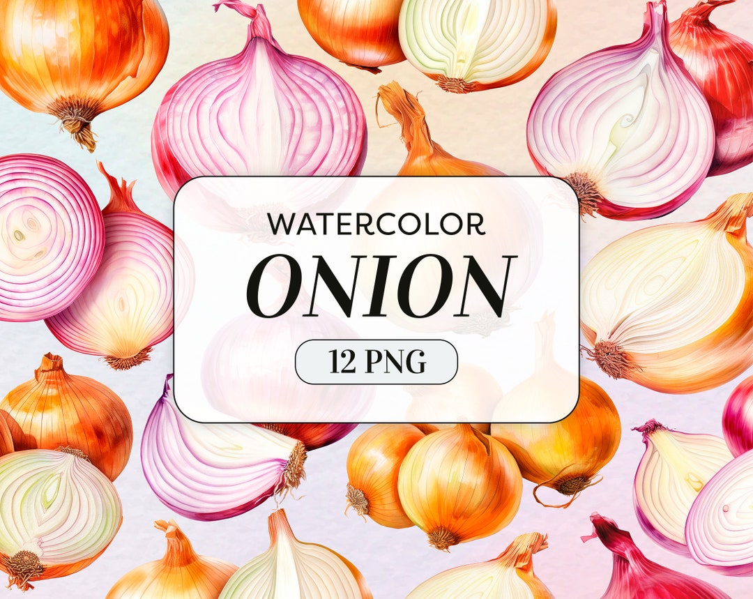 Watercolor Onion Clipart - Watercolor Vegetables PNG - Commercial Use ...