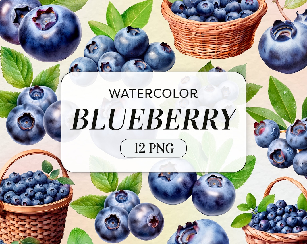 Watercolor Blueberry Clipart - Watercolor Fruits PNG - Commercial Use ...