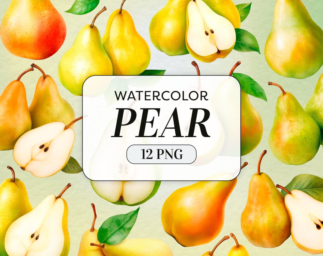 Watercolor Pear Clipart - Watercolor Fruits PNG - Commercial Use ...