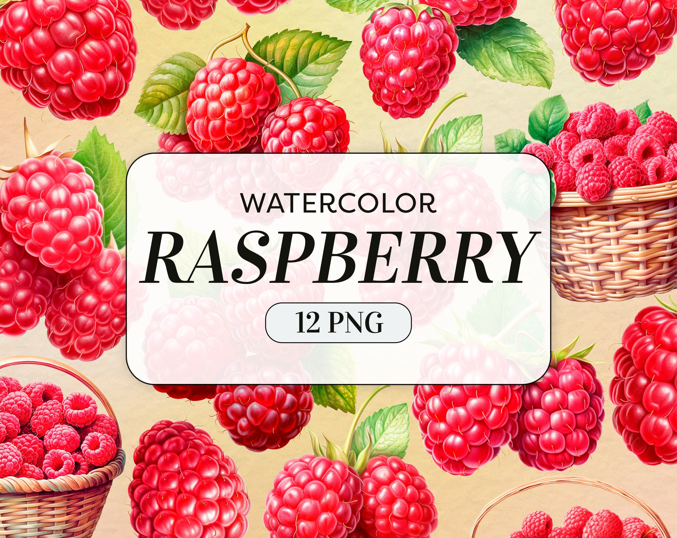 Watercolor Raspberry Clipart Watercolor Fruits PNG Commercial Use ...